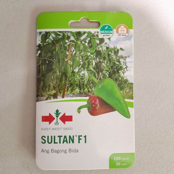 SULTAN F1 HYBRID SWEET PEPPER / BELL PEPPER / ATSAL (100 SEEDS) by EAST ...