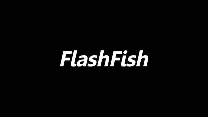 FlashFish E200 200W Solar Generator 40800mAh Multi-Function Portable ...