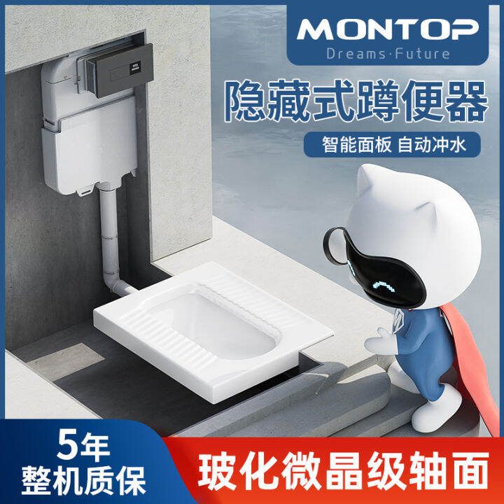 Montop Montop Toilet Embedded Hidden Cistern Hidden Squat Toilet ...