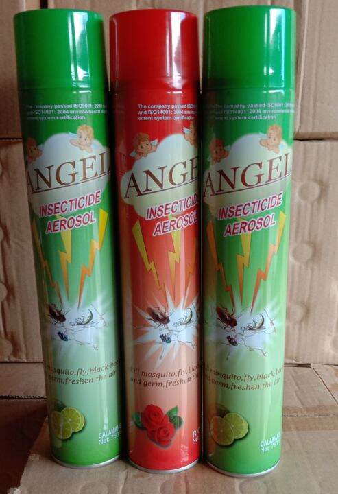 Angel insecticide earosol | Lazada PH
