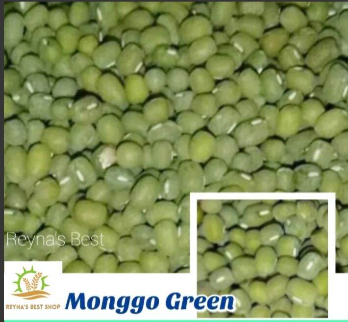 Green Monggo beans( labo )500g,1kg | Lazada PH