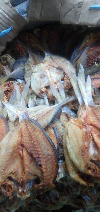 dried dalagang bukid | Lazada PH