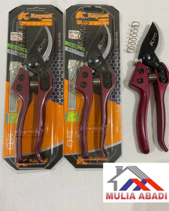 GUNTING DAHAN KAPUSI/GUNTING DAHAN STAINLES STEL WARNA UNGU | Lazada ...