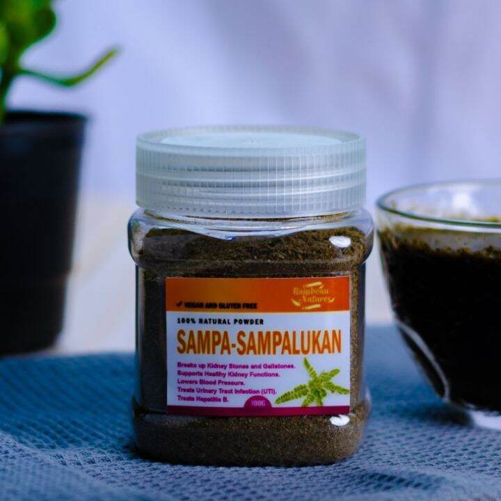 For UTI and Kidney Problema / Sampa-Sampalukan Leaves Powder 100% Pure ...