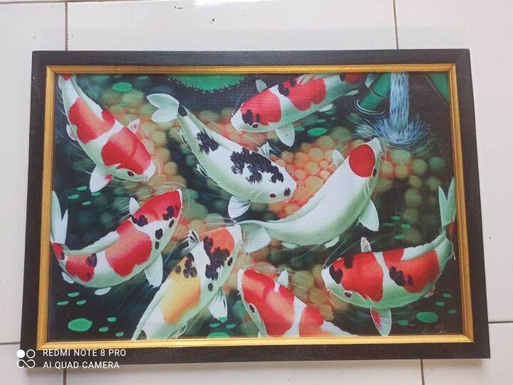 Hiasan dinding cetak gambar lukisan ikan koi plus bingkai ukuran 35x52cm | Lazada Indonesia
