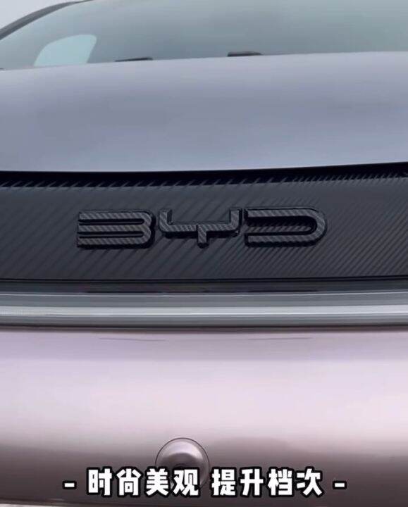[READY STOCK]BYD Dolphin Logo Emblem Carbon Fiber Piano Black Logo ...