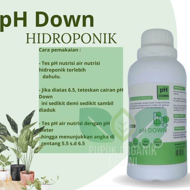 pH down penurun pH pada air larutan nutrisi hidroponik dan aquaponik meningkatkan daya serap ...