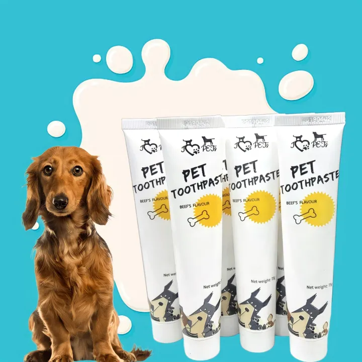 ILP Dog Pet Toothpaste Beef Flavor Pet Dog Cat Edible Natural ...