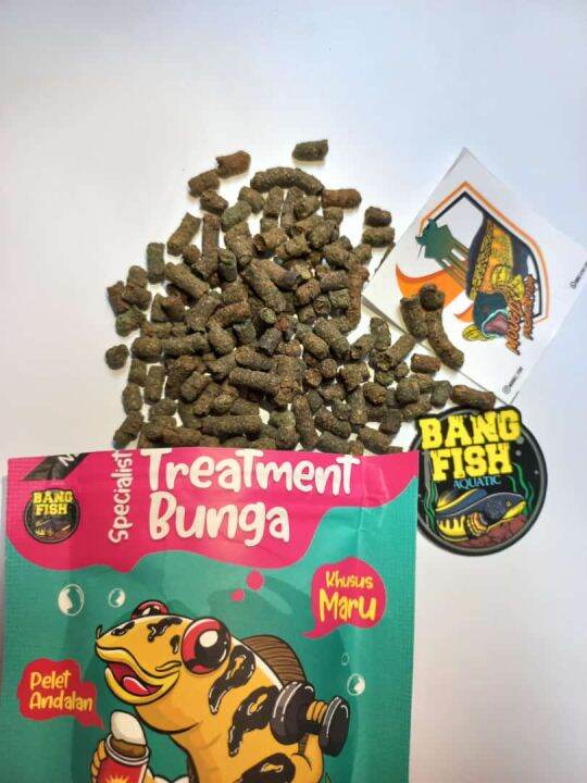 PELET ANDALAN TREATMEN BUNGA CHANA MARU ORIGINAL BANGFISH | Lazada ...