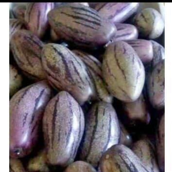 buah pepino/arput 1 kg | Lazada Indonesia