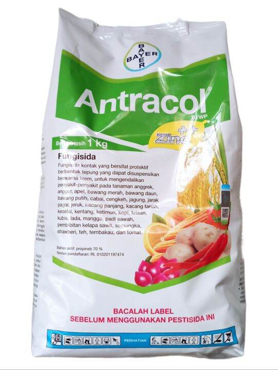 FUNGISIDA ANTRACOL | Lazada Indonesia