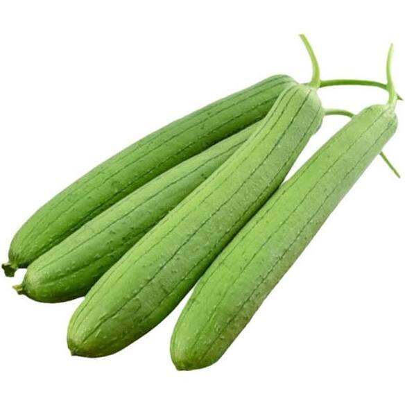 Smooth Patola / hybrid ( 5 SEEDS ) - 1Pack | Lazada PH