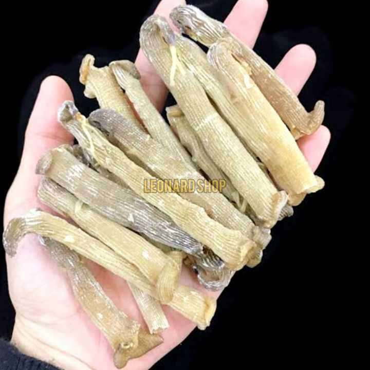 沙虫 Cacing Laut Kering Super / Peanut Worm Cocok Untuk Hidangan Restoran ...