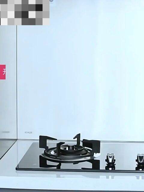 Double-burner household gas cooker embedded stainless steel panel ...