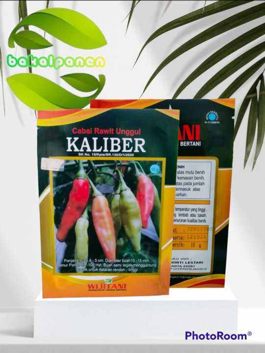 Benih bibit cabai KALIBER 10GR | Lazada Indonesia