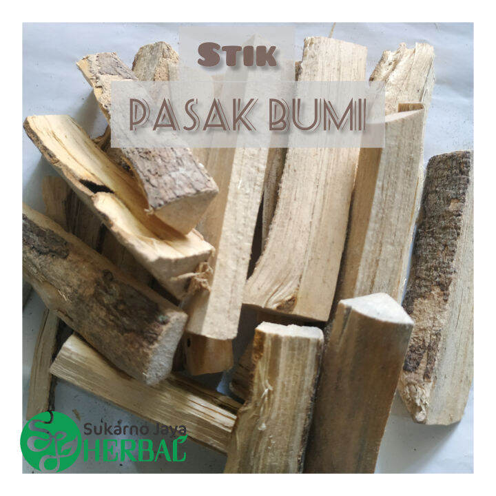 Pasak Bumi Kering 1kg~Pasak Bumi Kering stik~Pasak bumi 1kg | Lazada ...