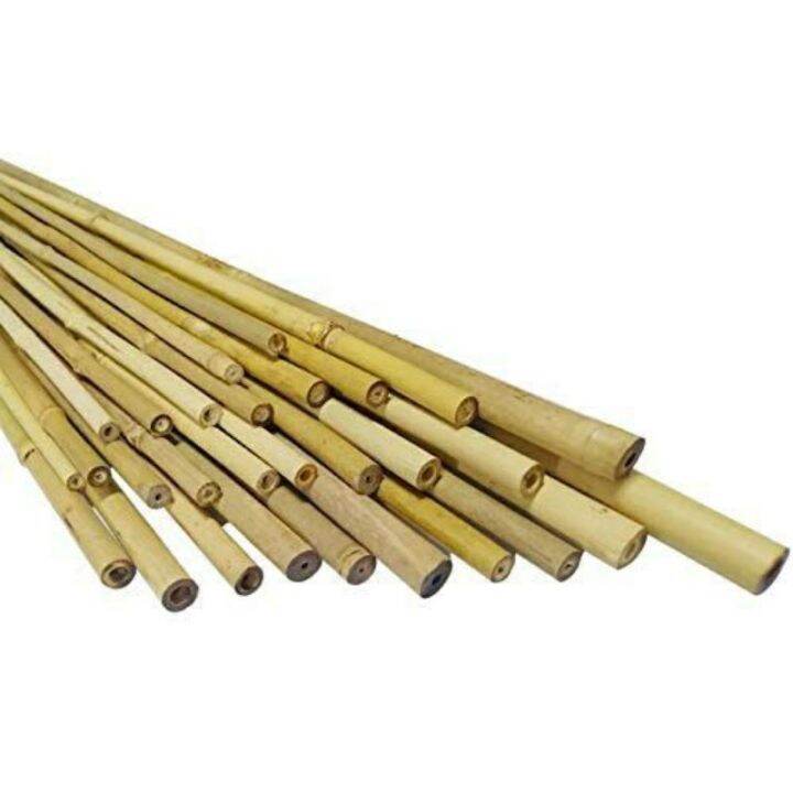 Ranting bambu basah atau kering kerajinan bambu isi 15 pcs | Lazada ...