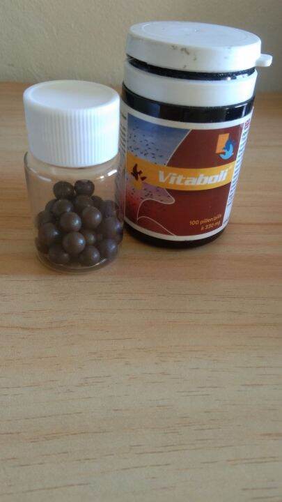 VITABOLI 25 PCS FOR PIGEON RECING EXPIRATION 2026 PWEDENG PABAON SA ...