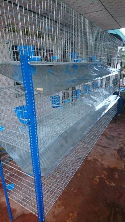 Sangkar arnab / rabbit cage (Sz 45cm x 45cm x 30cm) | Lazada