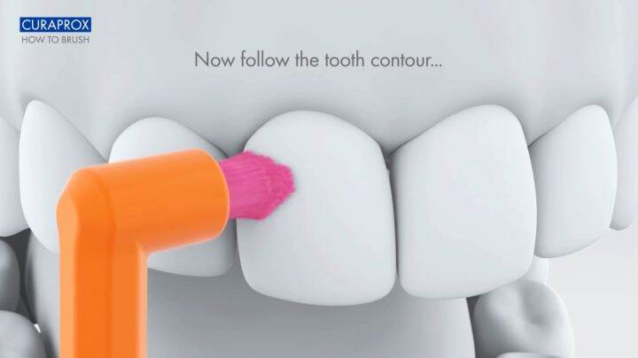 Single Tuft Toothbrush Curaprox CS 1006 bristles for ortho and gum care ...