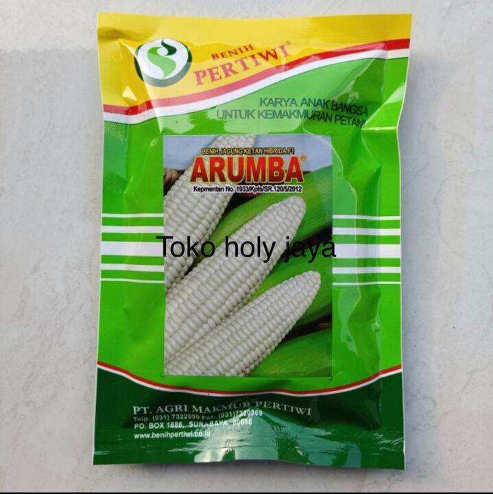 Benih/Bibit Jagung Putih pulut manis ARUMBA jagung 250 gr | Lazada ...