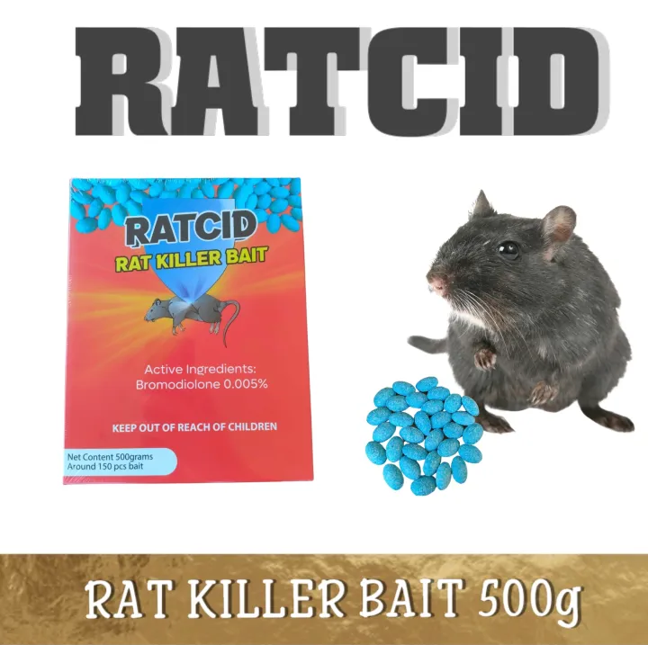 RATCID RAT KILLER BAIT DAGA KILLER MOUSE KILLER 500g [ Nessa’s Kitchen ...