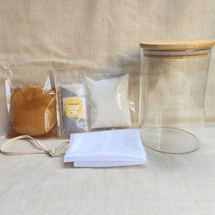 Kombucha Starter Kit (Scoby / Benih Cendawan Mekah in Glass Jar) | Lazada