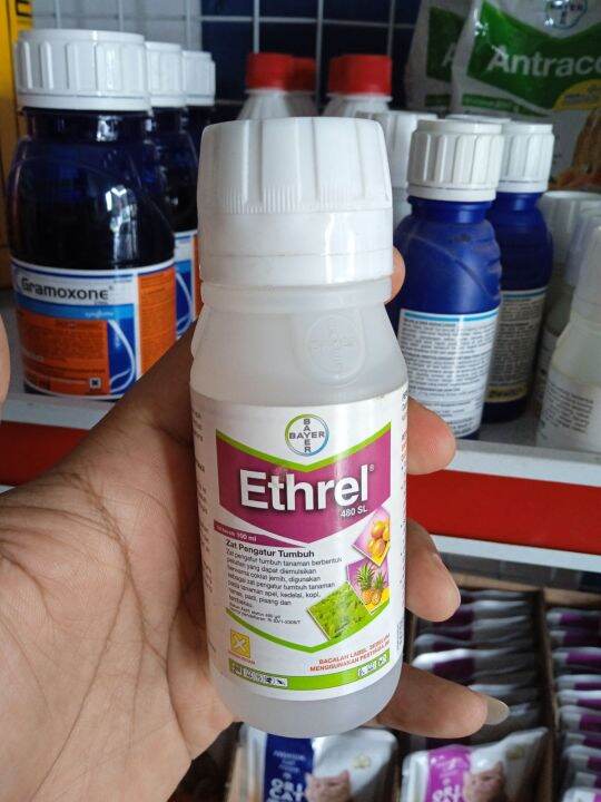 ethrel 480 sl 100 ml | Lazada Indonesia