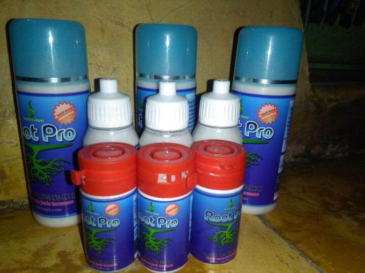 Root Pro | Lazada Indonesia
