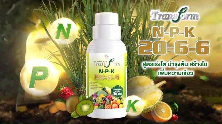 Transform NPK ธาตุอาหารหลักสำหรับพืช ไนโตรเจน ฟอสฟอรัส โพแทสเซียม สูตร 20-6-6 สูตรเร่งการเจริญ ...