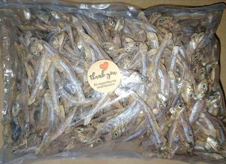 Dried Dilis Large size 250g | Lazada PH