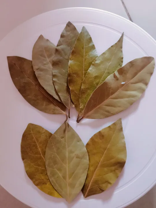 DAHON LAUREL Buo Lahat ng Dahon 50g Bayleaves | Lazada PH