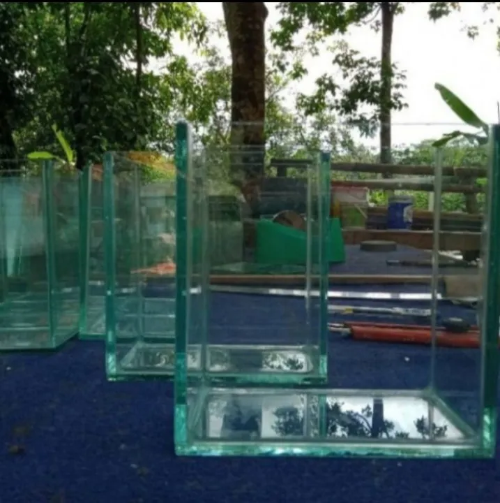 soliter ikan cupang guppy aquarium mini soliter Selvi polos 15x8x15 ...