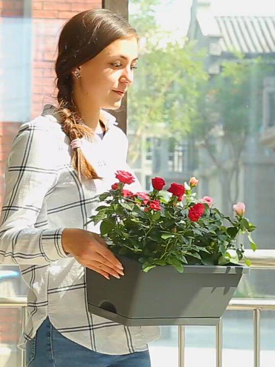 Planting Vegetable Basin Long Striped Flower Basin Home Balcony ...