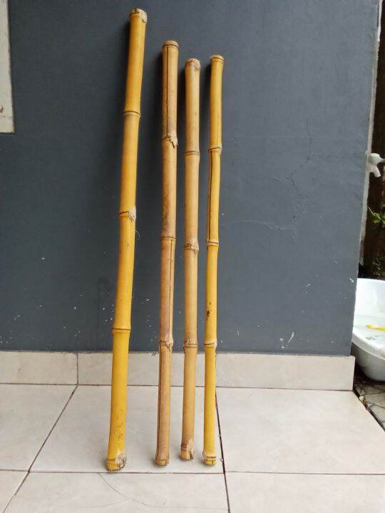 tongkat bambu kuning lurus | Lazada Indonesia