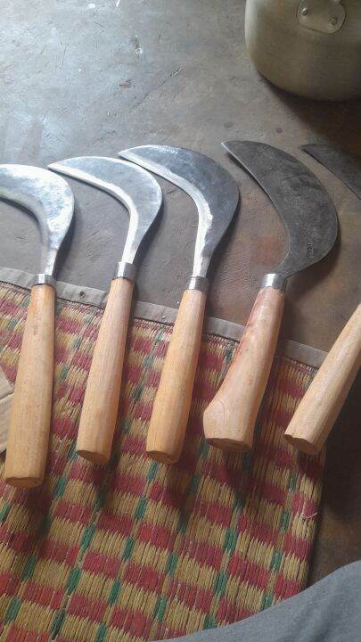 alat sabit rumput | Lazada Indonesia