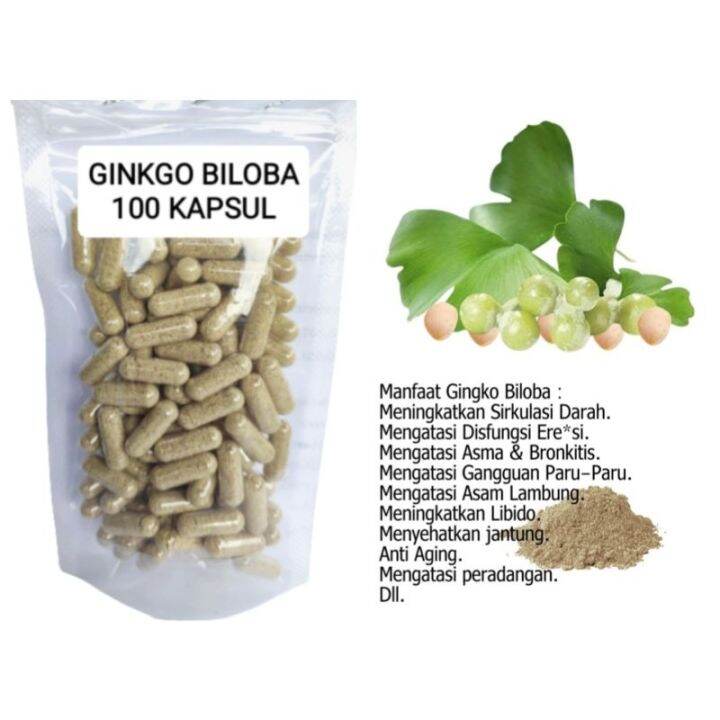 GINKGO BILOBA 100 KAPSUL OBAT HERBAL (PREMIUM QUALITY) | Lazada Indonesia