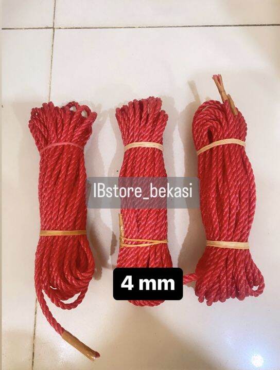 Tali Tambang Plastik 4mm 10 Meter | Lazada Indonesia