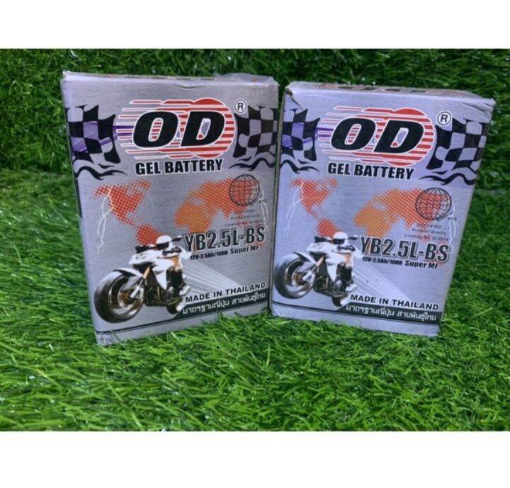 OD Gel Battery YB2.5L | Lazada PH