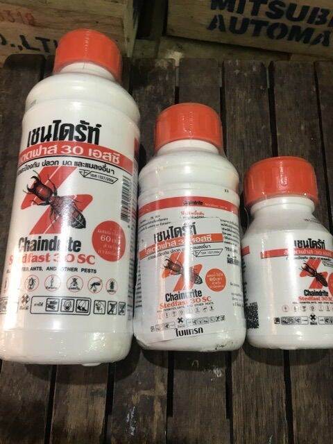 Chaindrite เชนไดร้ท์ สเตดฟาส 30 เอส.ซี.กำจัดปลวก มด แมลงสาบ chaindrite ...