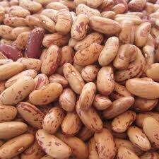 Rajma Chitra 500g (Pinto Beans) | Lazada.co.th