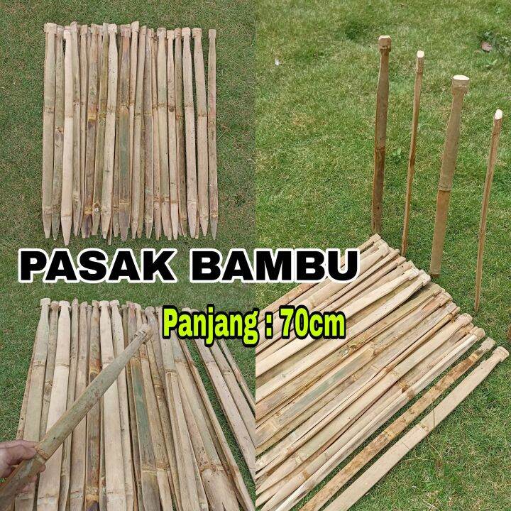 Pasak Tenda Camping Pramuka Patok Bahan Bambu Panjang 70cm | Lazada ...