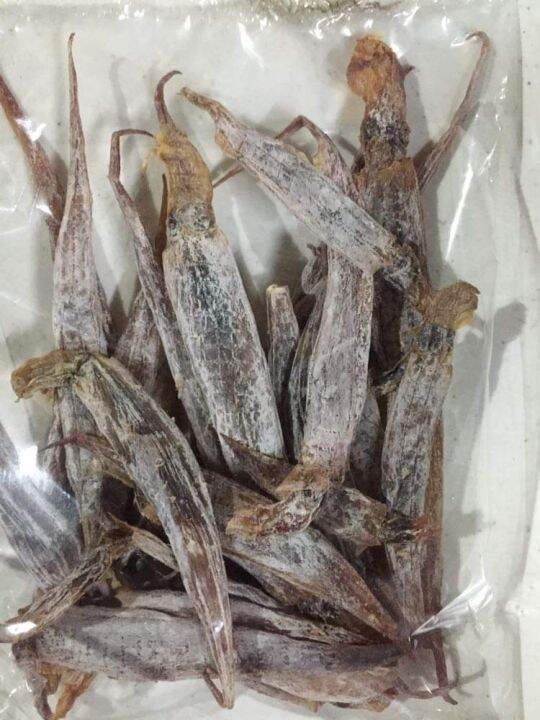 Dried Pusit (haba) | Lazada PH