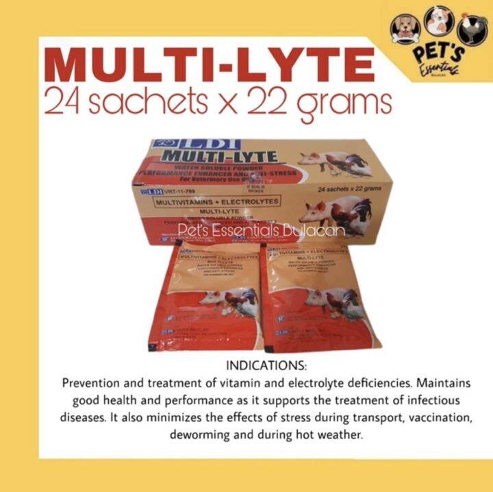 Multi-Lyte 24 sachets x 22 grams | Lazada PH