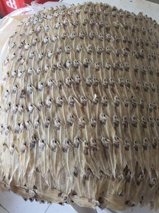 100g/500g/1000g white Palad flakes from Masbate Hindi po Maalat | Lazada PH