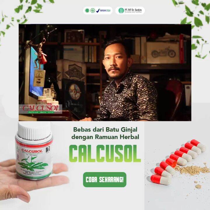 Calcusol 50 Tab Obat pencahar Batu Ginjal dan batu kemih | Lazada Indonesia