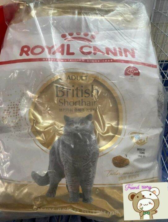 Royal canin British shorthair ขนาด10kg | Lazada.co.th