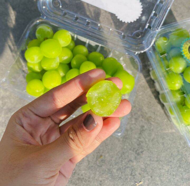 anggur shine muscat 500gram kemasan mika | Lazada Indonesia