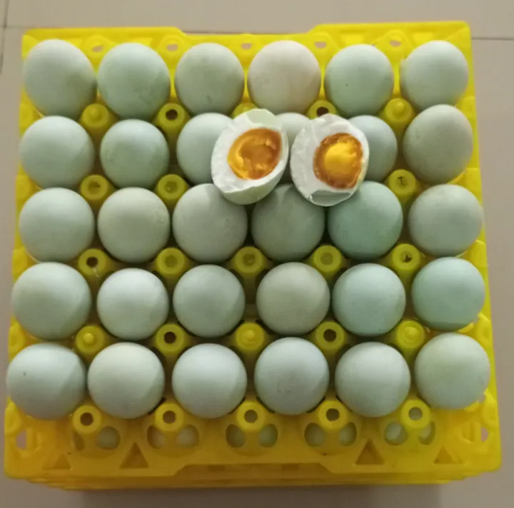 telur asin matang [10 butir ] grade jumbo rasa gurih dan masir asinnya ...