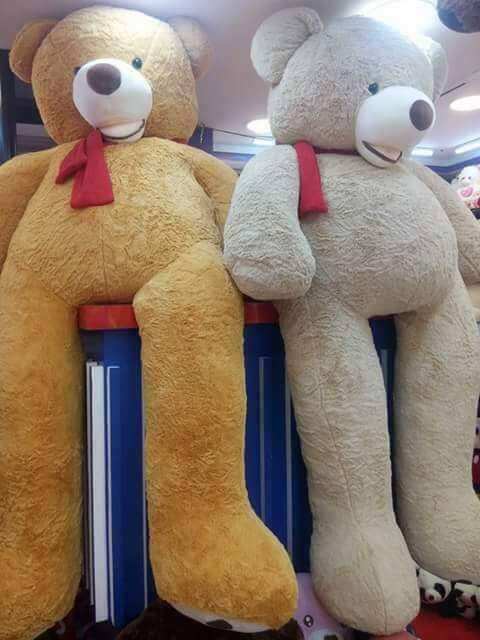 Human Size Teddy Bear 7ft | Lazada PH